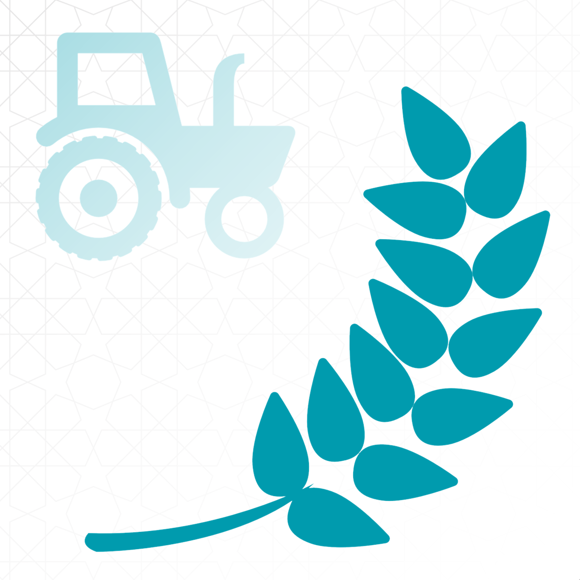 World Halal Union - Sustainable control, peaceful consumption